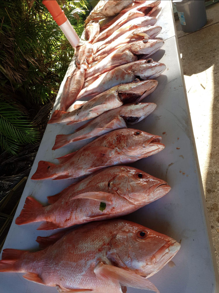 Razorfish Fishing Charters Whitsunday QLD